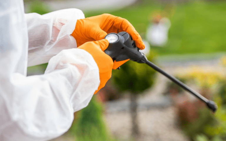 Los mejores métodos para combatir cucarachas | Coinve